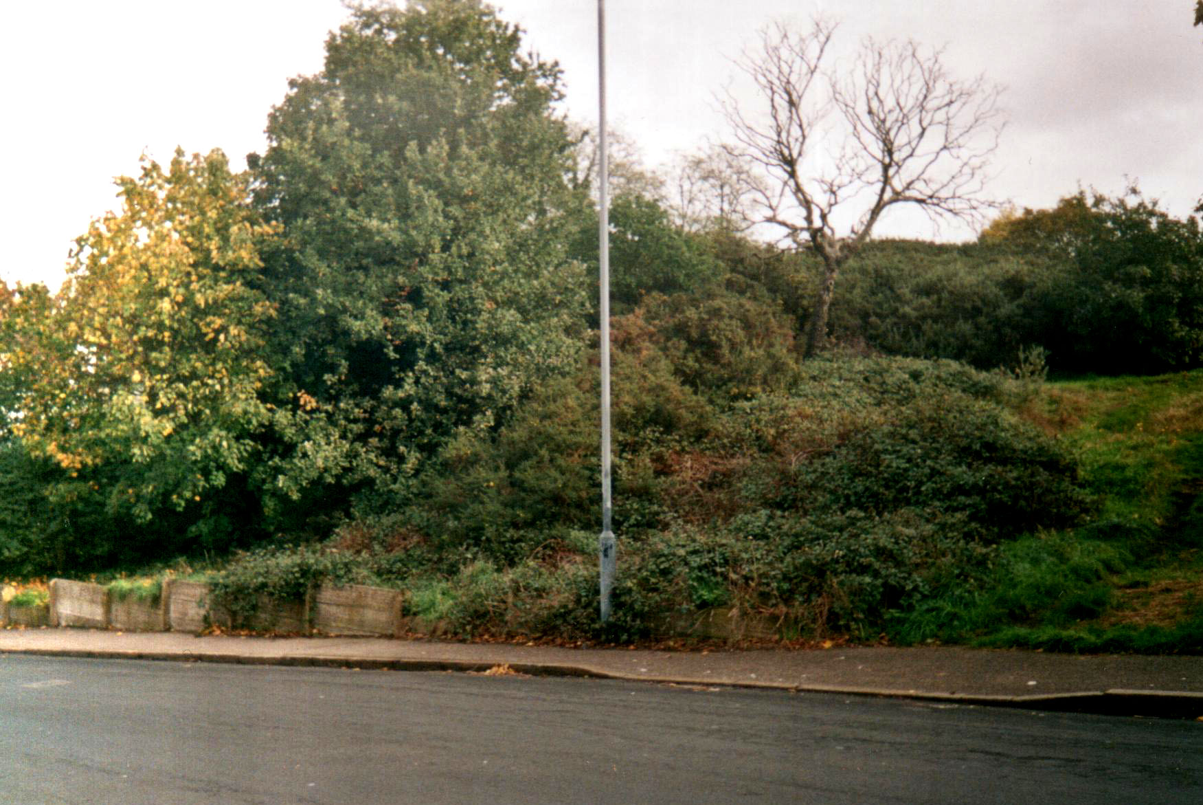 Plumstead Stories - Lakedale Road areas